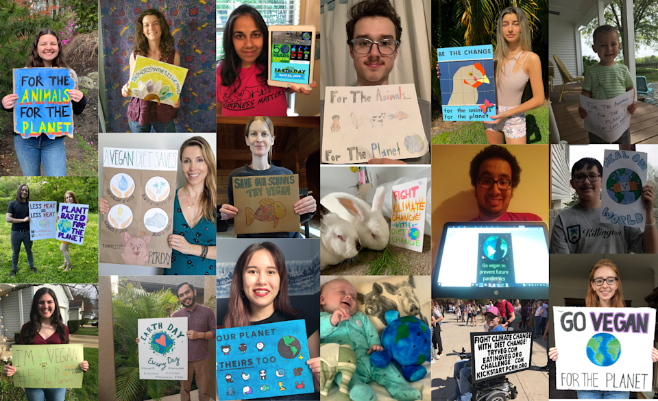 How to become an animal rights activist & advocate for animals effectively