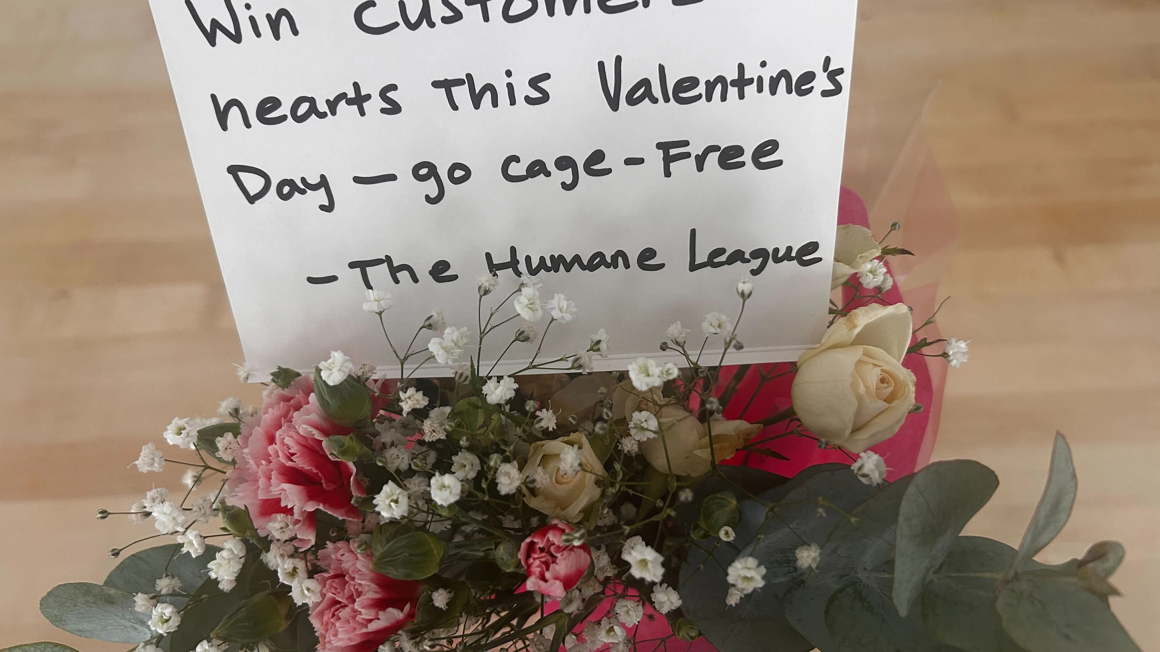 Campaigns for the animals | The Humane League