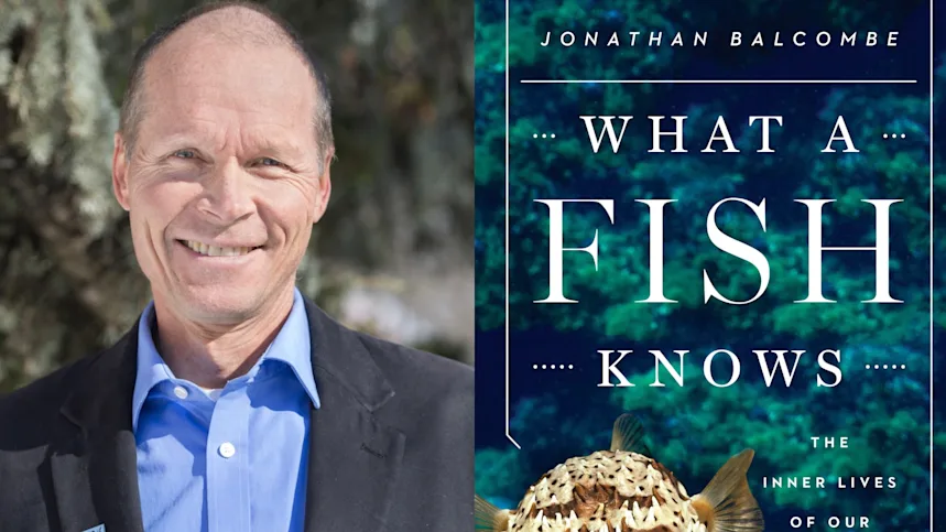 We interview author and fish expert Jonathan Balcombe.