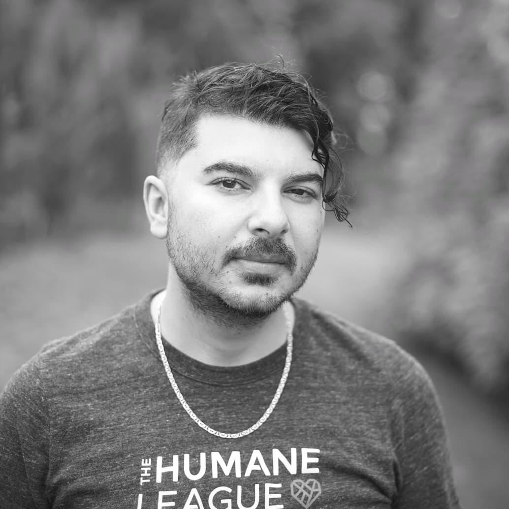 What's really in a hot dog? What is it made out of?