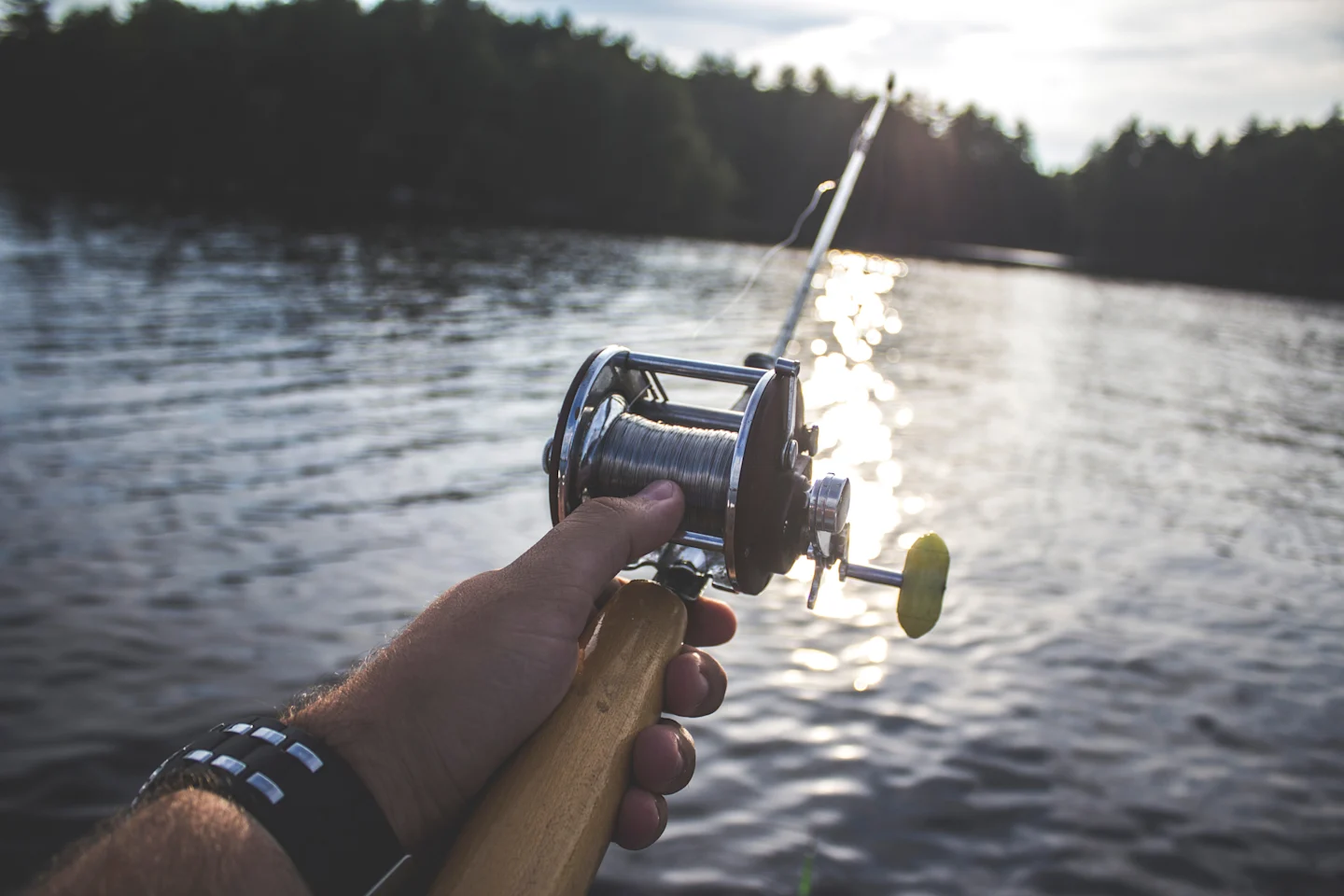 Why recreational fishing is bad for fish