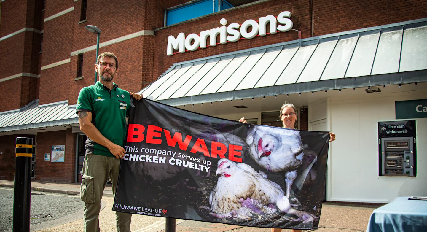 Morrisons employee fired for standing against chicken abuse.