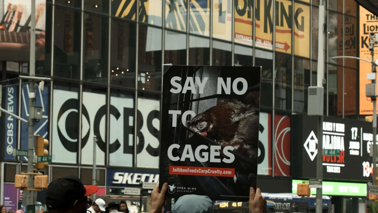 Changemakers: Strategies for Mainstreaming the Animal Protection Movement