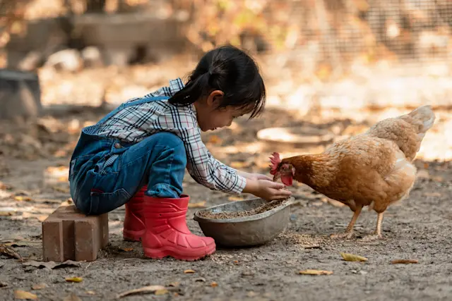 What makes us love animals? Animal lovers share their stories