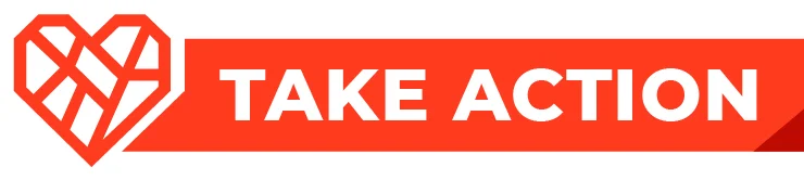 Do fish have good memories or are they forgetful?