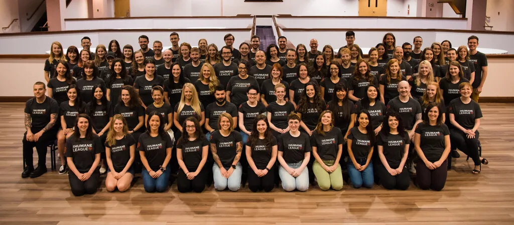 THL Team Tips for Working from Home