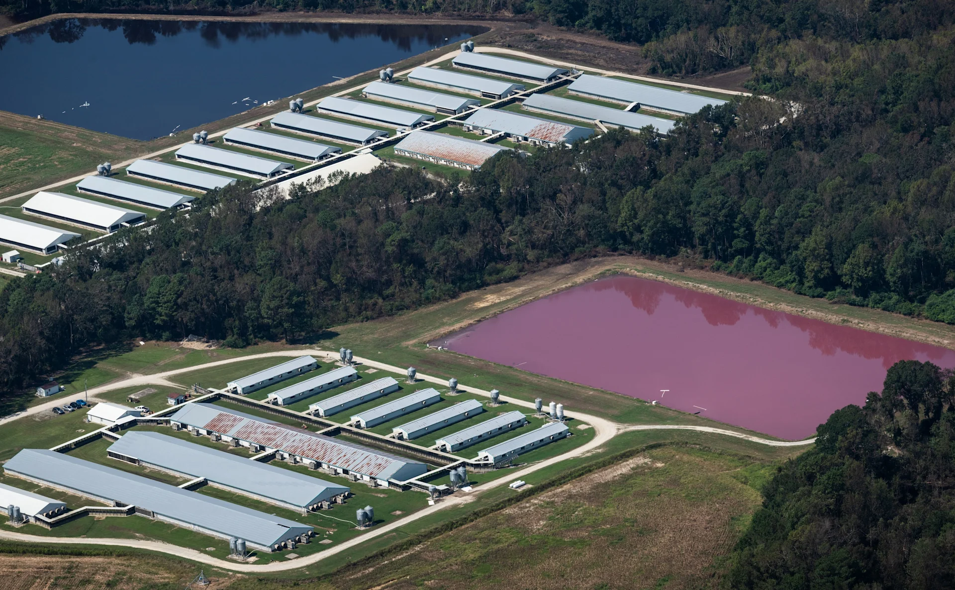 12 facts about factory farming and the environment