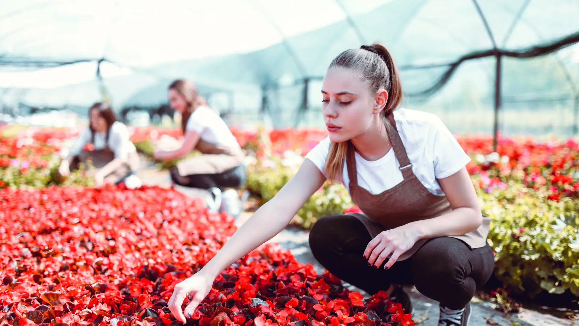 Who's covered by BC's employment standards law | People's Law School