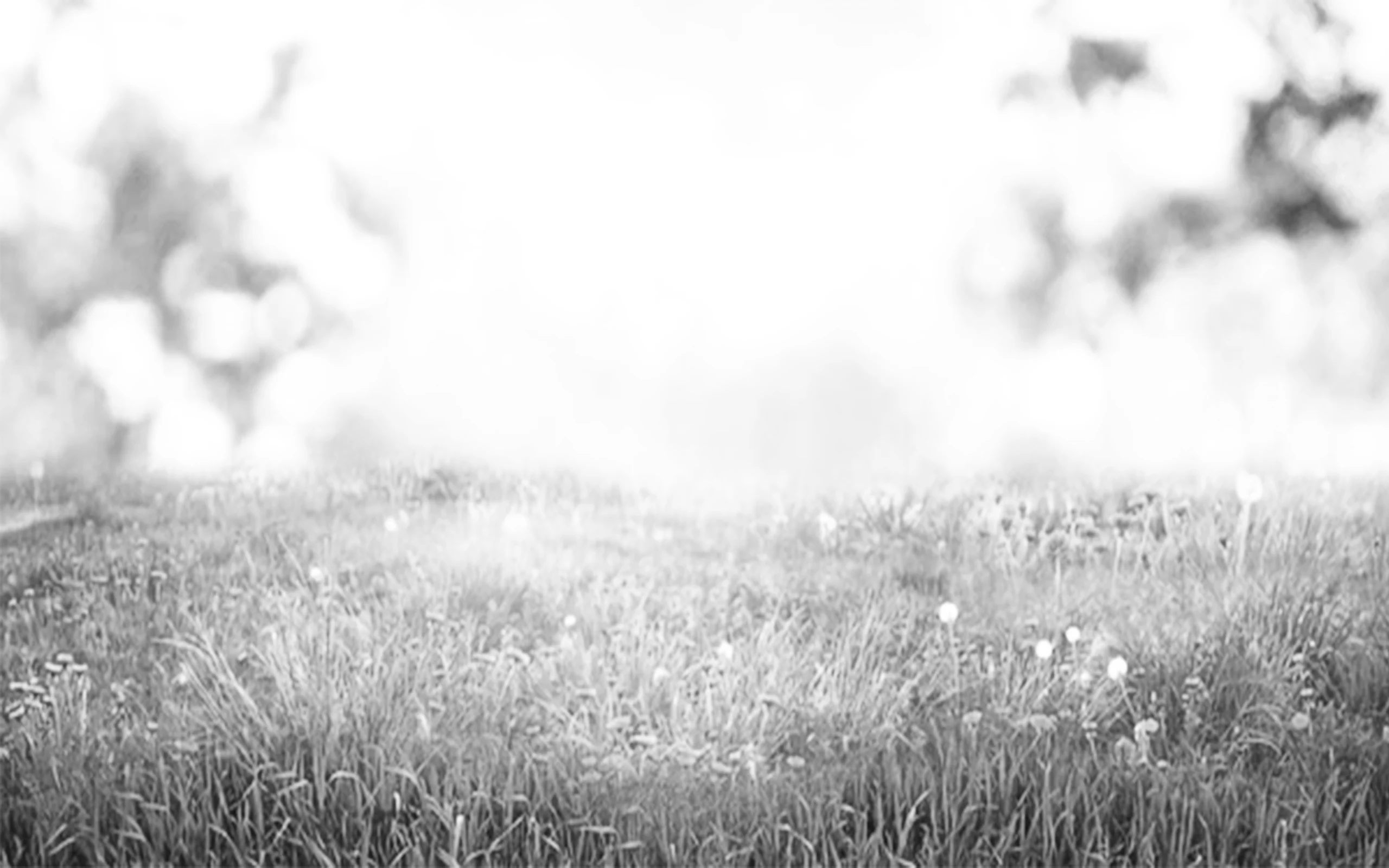 Download CSR-Rapport & Certifikater