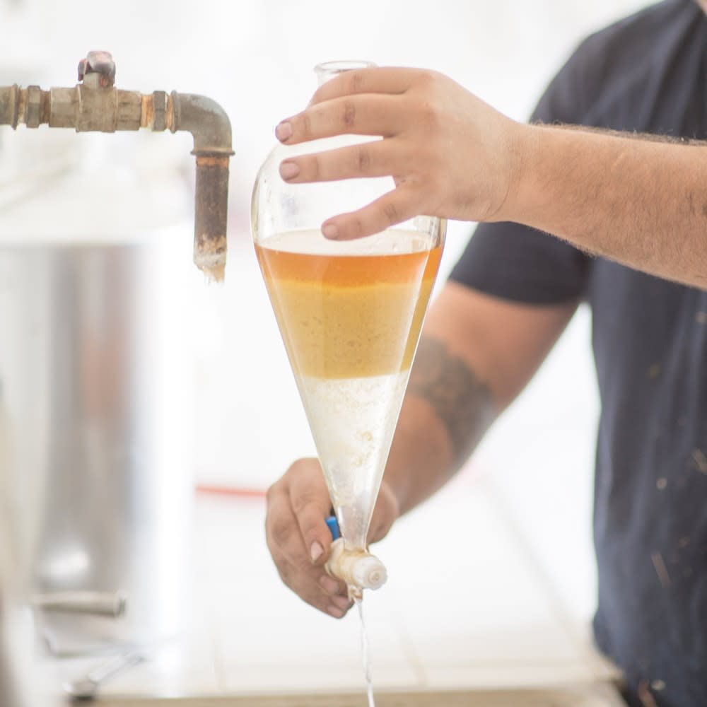 What are Essential Oils? | Young Living Essential Oils