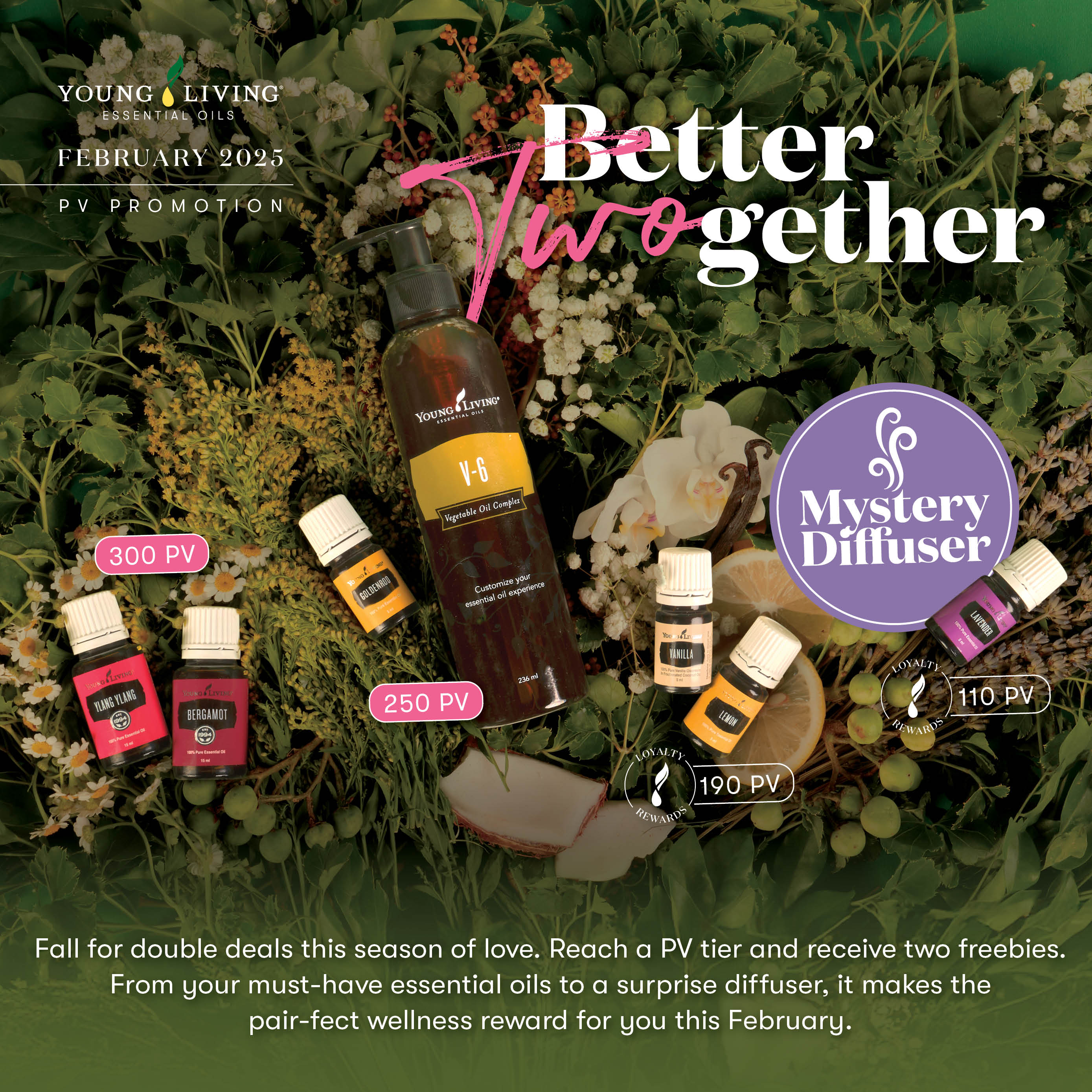 Young Living Philippines Promotions | Young Living Essential Oils