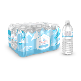 Canadian Springs® Bottled Spring Water | 500 mL Bottled Water