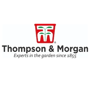 MoneySavingExpert Deals: latest promotions and voucher codes