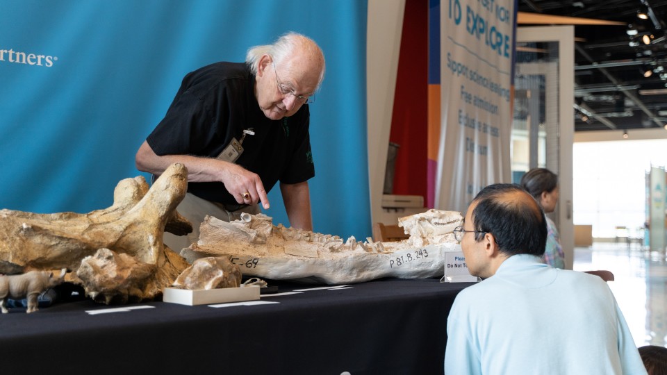 Events at the Science Museum of Minnesota | Science Museum of Minnesota