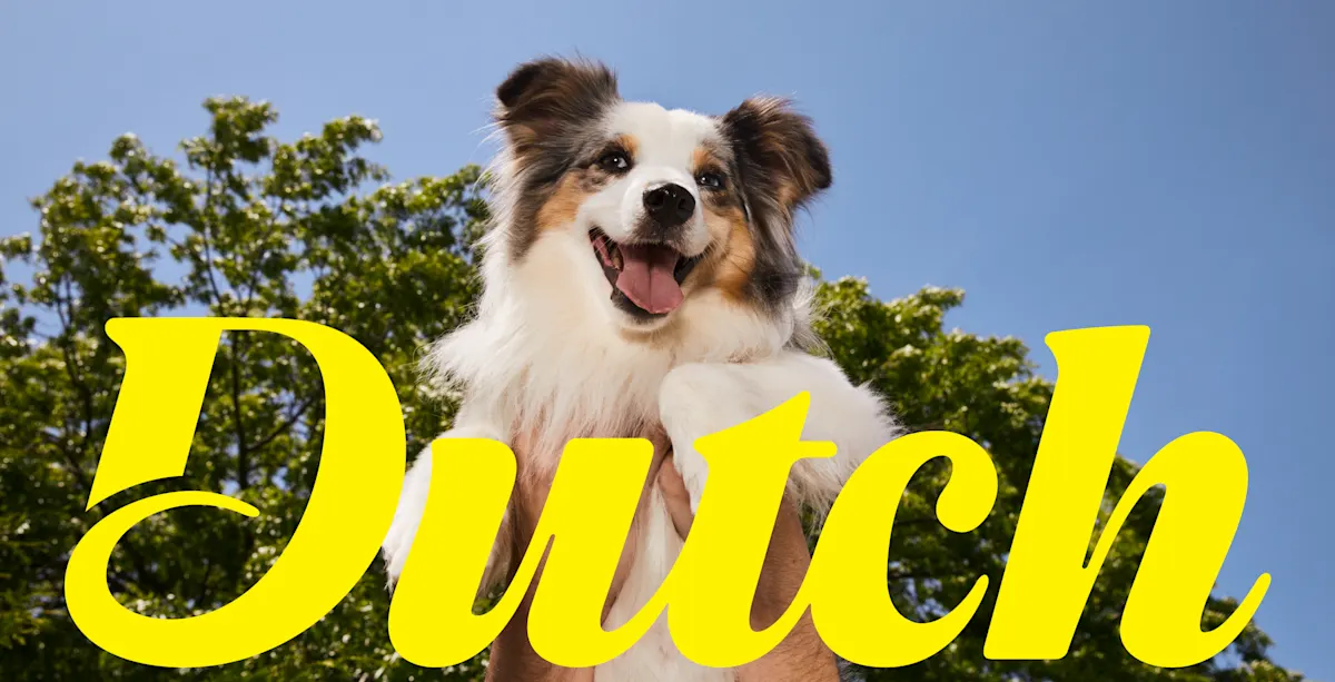 Dutch