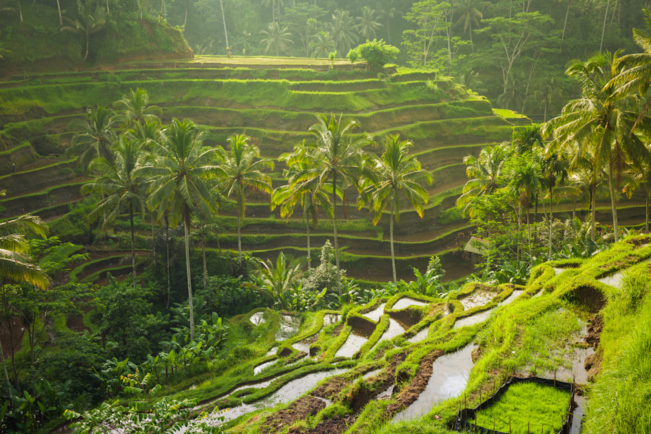 Indonesia Accommodation & Hotel Deals | Qantas Hotels