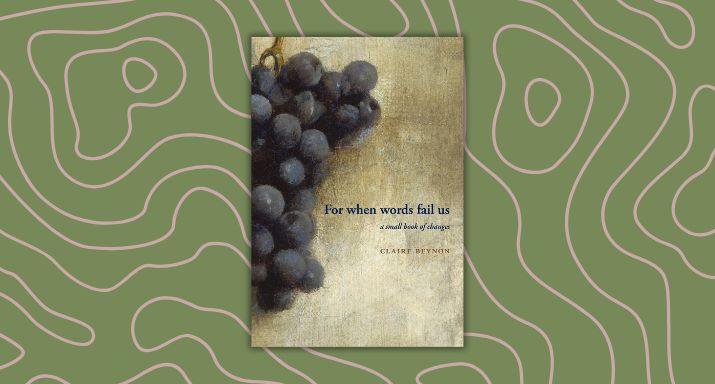 Review: For When Words Fail Us, by Claire Beynon | Kete Books - Your ...