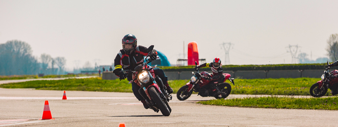 Streetfighter V4 S - The Fight Formula