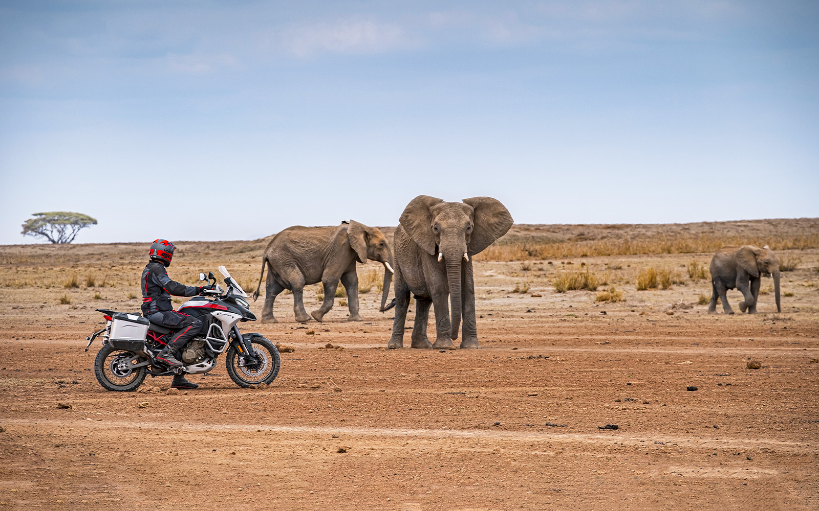 Ducati Travel Stories – Epic Rides & Motorcycle Adventures
