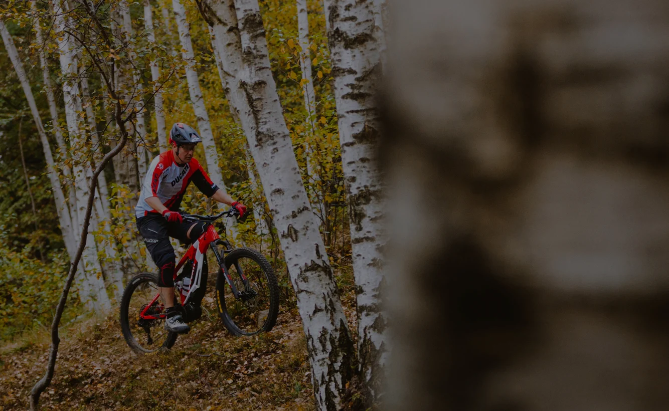 E-Bike | Family page