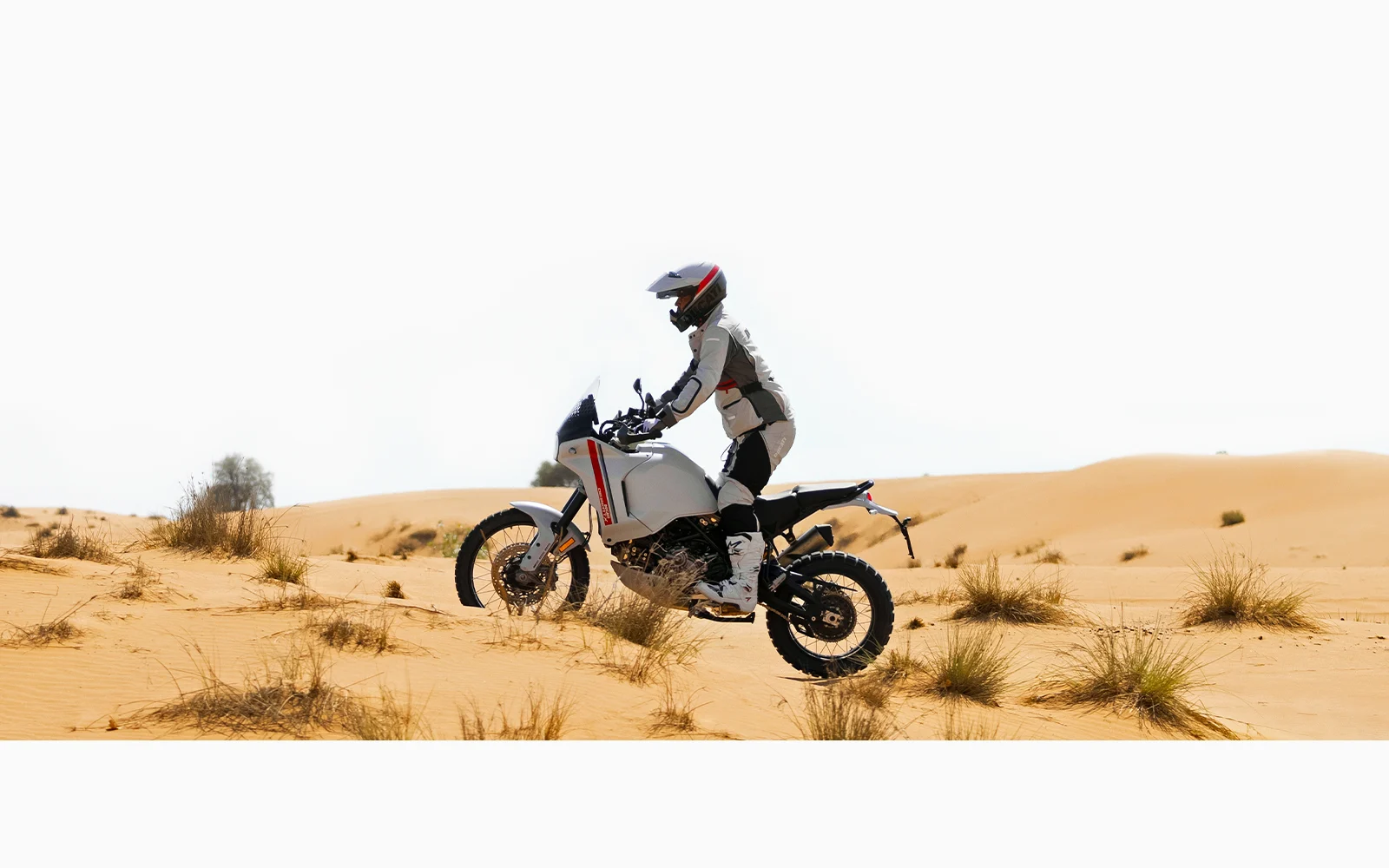 Ducati DesertX - Dream Wilder