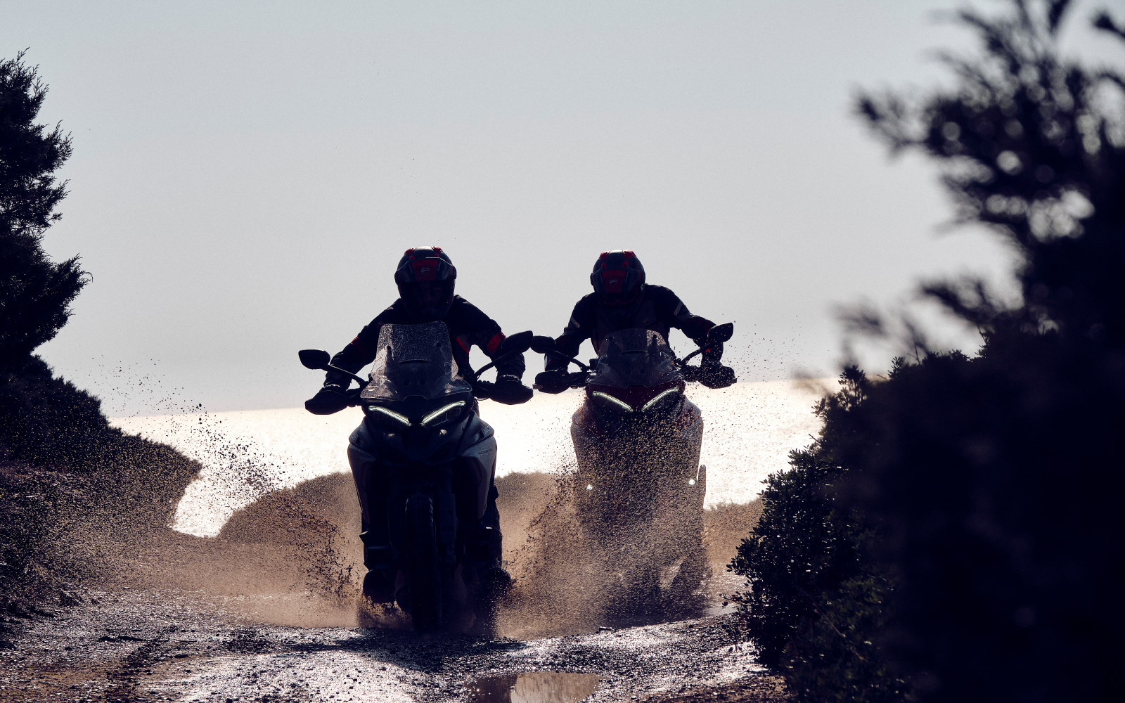 Ducati Multistrada Family – Adventure & Touring Motorcycles