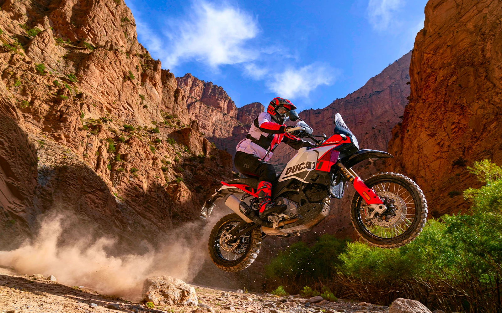 Ducati: Motorrad, MotoGP & Superbike