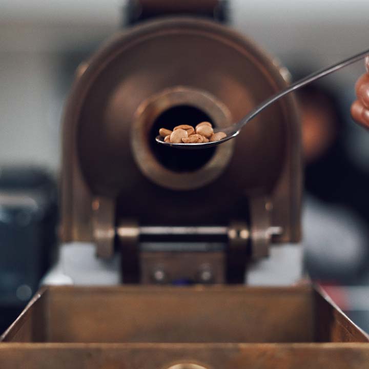 Sam Coffee Roasters | Blog | The Basics of Coffee Processing