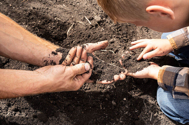 Revolutionizing soil sampling with digital agronomy tools | TELUS ...