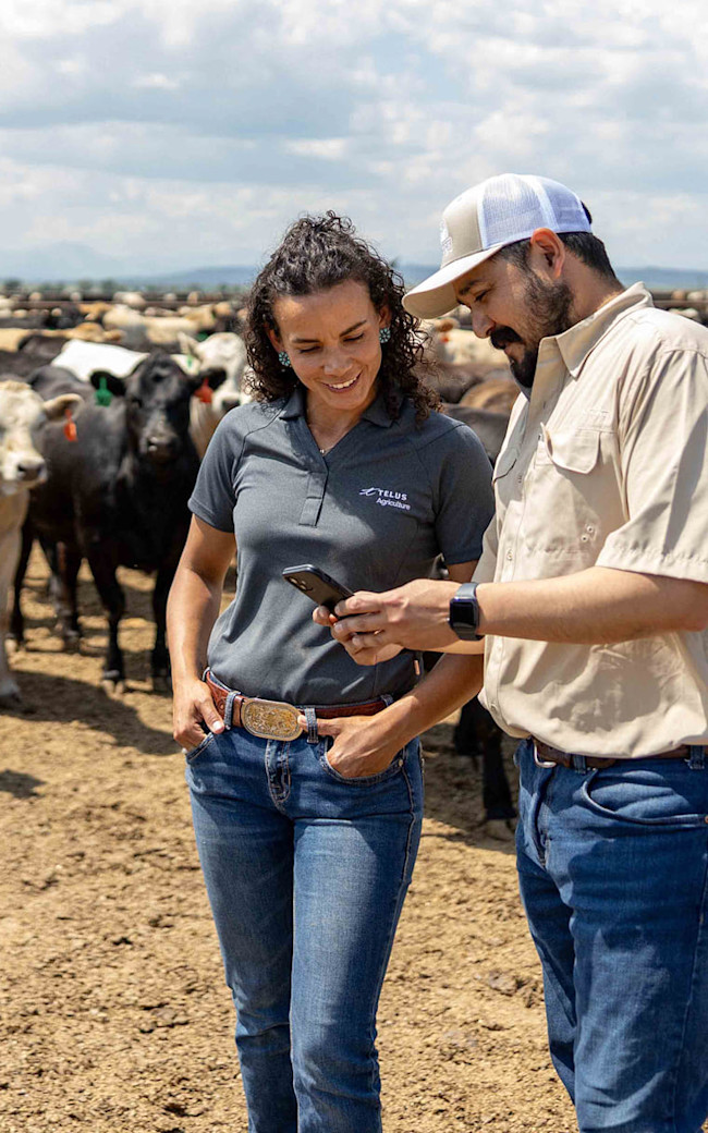 Digital Solutions and Data Insights to Connect Global Supply Chains in ...