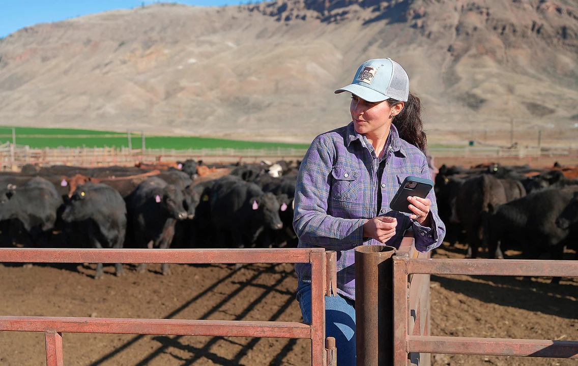 Individual Animal Management | TELUS Agriculture & Consumer Goods