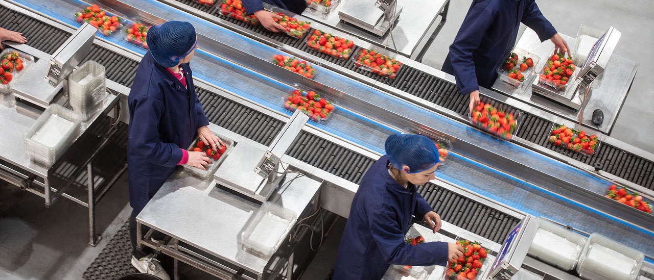 Food safety and quality software | TELUS Agriculture & Consumer Goods US