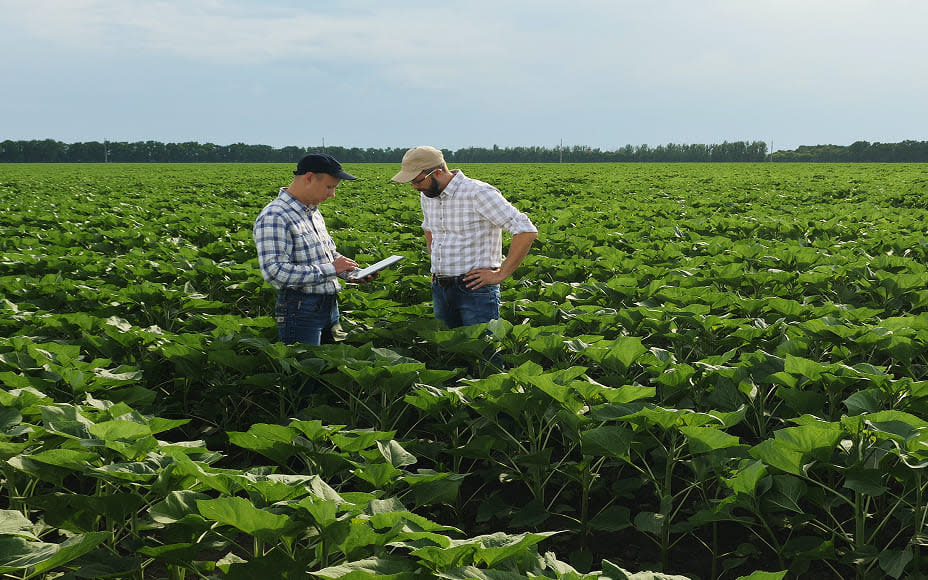 Agronomy software solutions | TELUS Agriculture & Consumer Goods