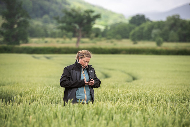 TELUS Farm Accounting software | TELUS Agriculture & Consumer Goods GB