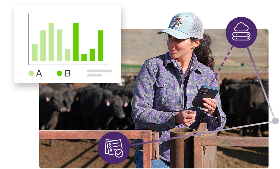 Animal and Feedlot Health Management | TELUS Agriculture & Consumer Goods