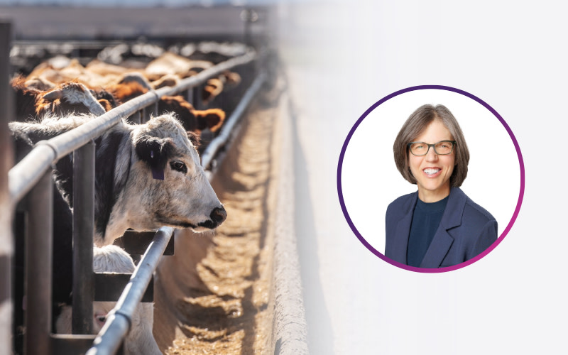 Dr. Deb Johnson | Veterinary Pathologist | TELUS Agriculture & Consumer ...