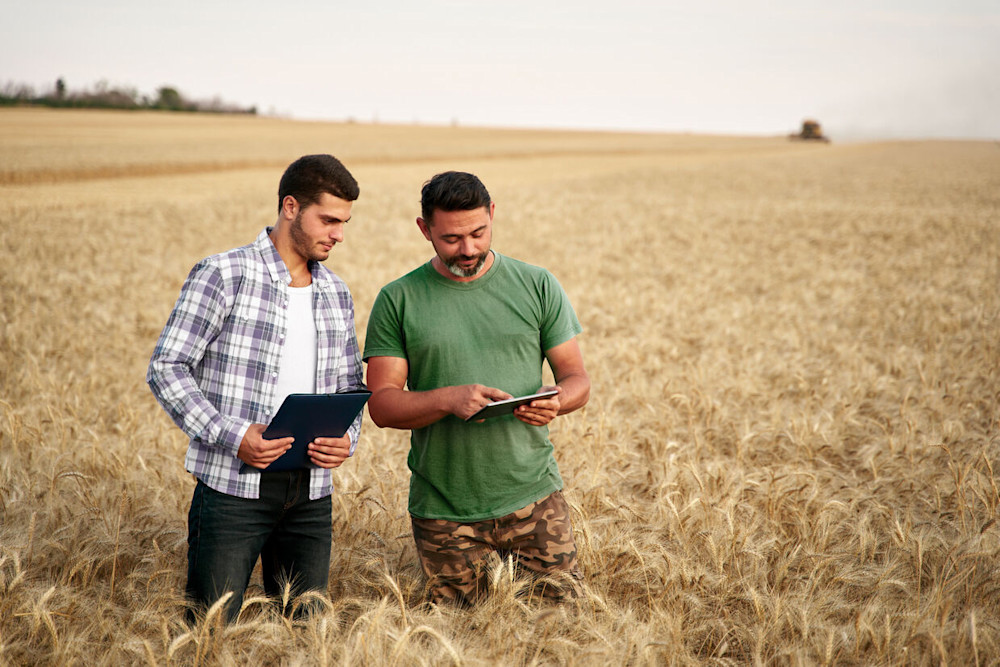 Evaluating crop planning solutions | TELUS Agriculture & Consumer Goods