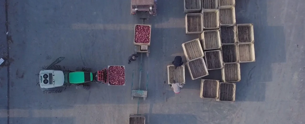 Food Supply Chain Management For Distributors Telus Agriculture