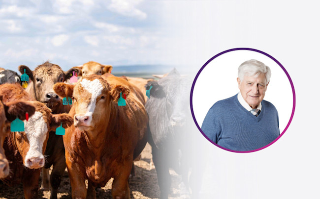 Dr. Eugene Janzen | Veterinary Medicine Consultant | TELUS Agriculture ...