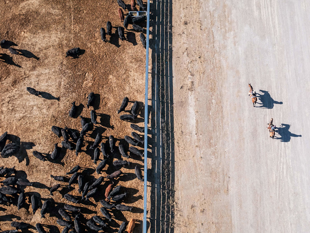 Digital Solutions and Data Insights to Connect Global Supply Chains ...