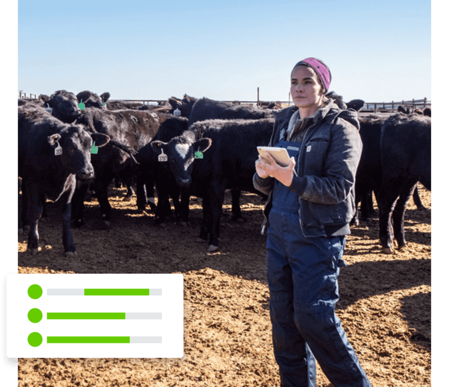 Feedlot Operators Telus Agriculture And Consumer Goods Telus
