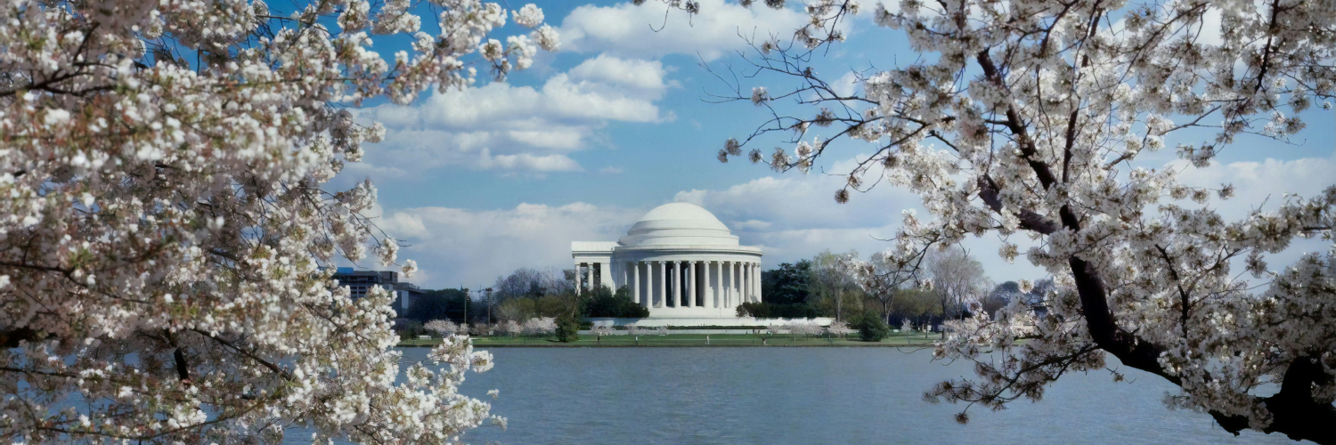 Flight Deals to Washington, D.C. | Breeze Airways