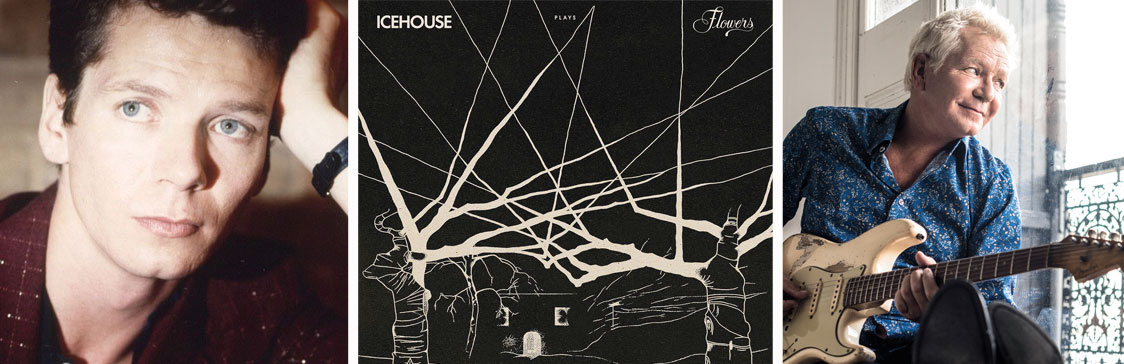 Icehouse Flowers 30th Anniversary Edition | Best Flower Site