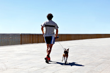Running With Dogs: The Top 5 Tips For Running With Your Dog [guide ...