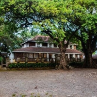 Visiter l’Habitation Clément en Martinique