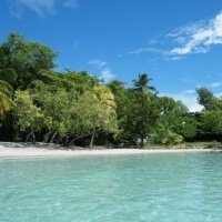 Anse Figuier : Une des Plages les plus agréables de Martinique