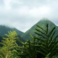 Découvrez les Pitons du Carbet en Martinique