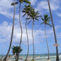 Découvrir la Pointe Faula