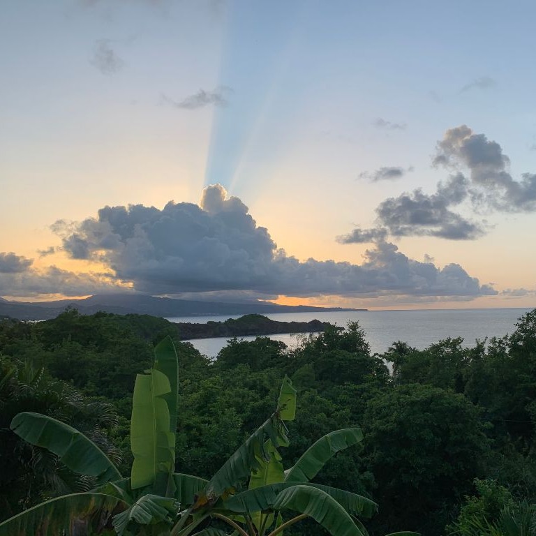 TOP 5 Activités - Que Faire à Tartane- Jumbo Car Martinique [2024]