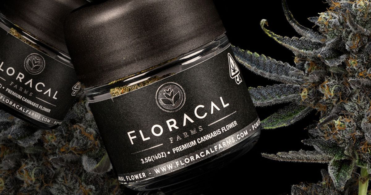 IYKYK FloraCal | March and Ash Blog